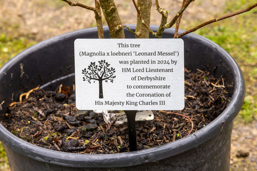 The King's coronation marked with tree planting - DCG