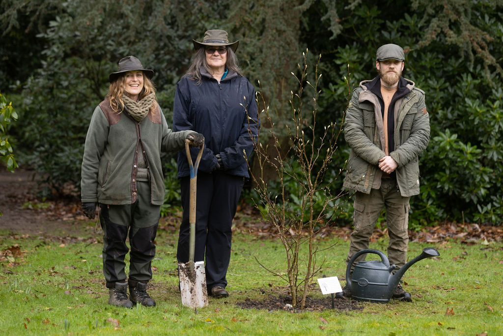 The King's coronation marked with tree planting - DCG