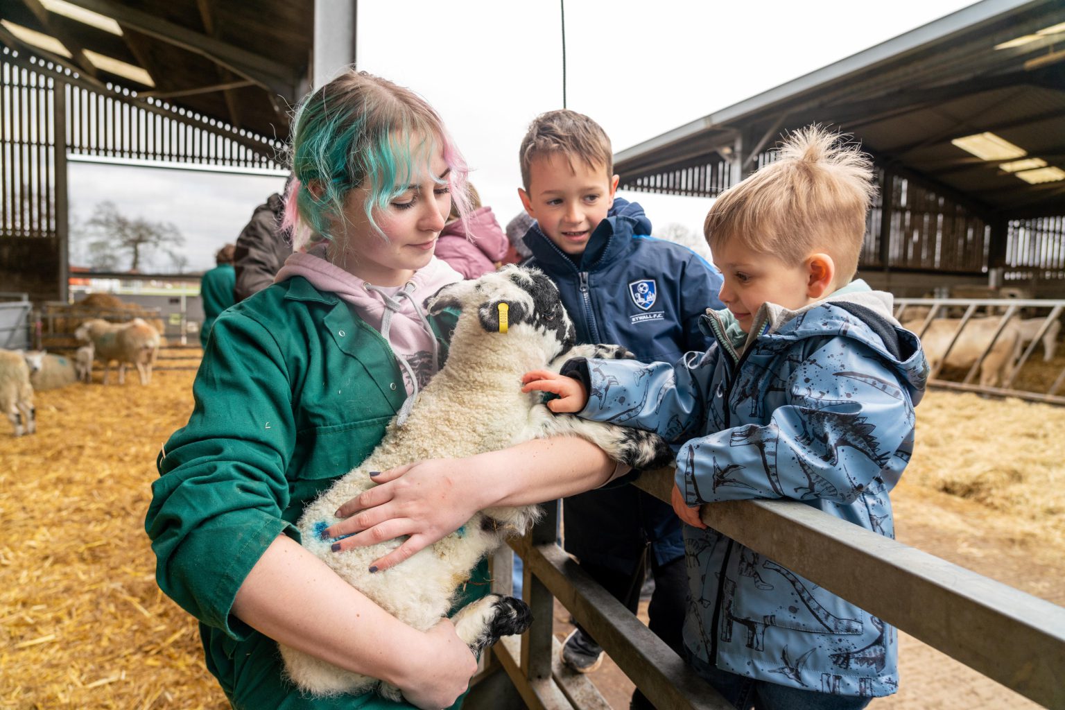 Lambing Sunday including Animal Unit Open Day - 22/03/2026 - DCG